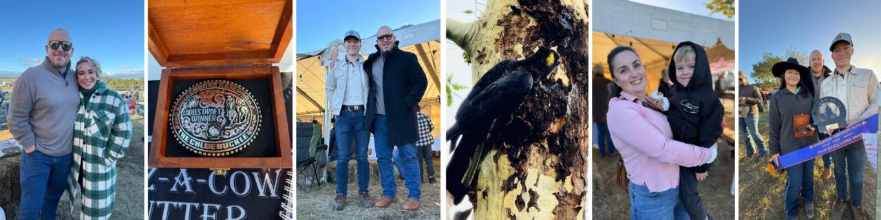 Thinkstream | INNOVATIVE CONNECTED TRUSTED